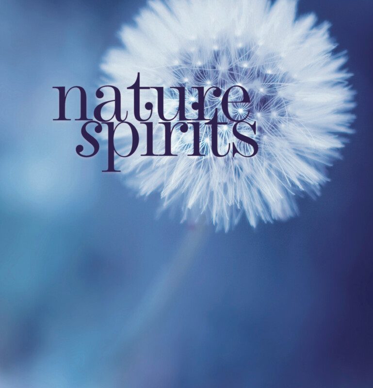 The Genius of Bees and the Elemental Beings: How the spiritual world ...