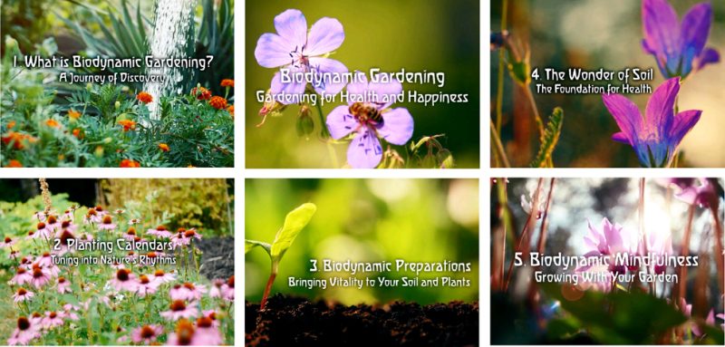An Introduction to Biodynamic Gardening (box set of five short videos ...
