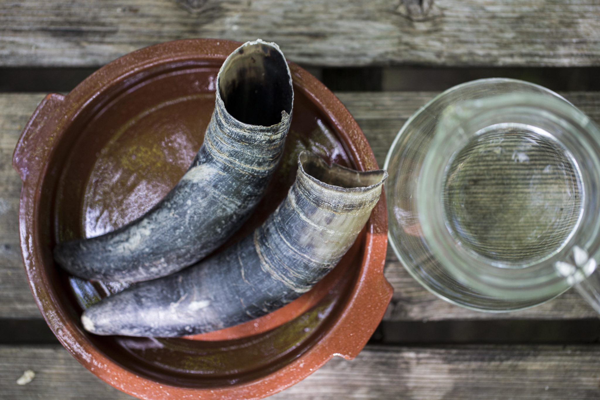 Cow horns - Biodynamic Association