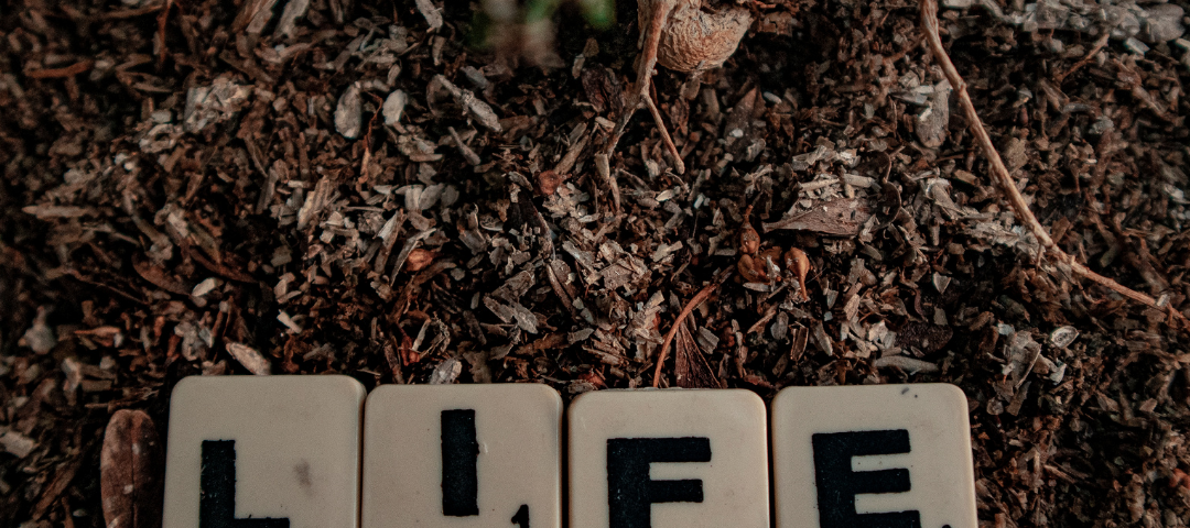 How do biodynamic practices restore soils? - Biodynamic Association