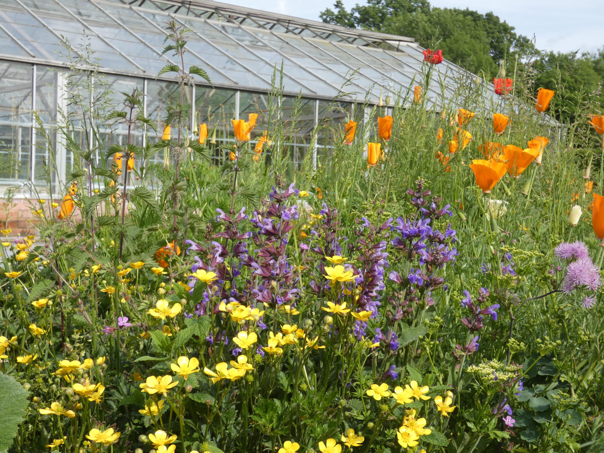 Biodynamic and related Events & Courses at Waltham Place, Berkshire ...