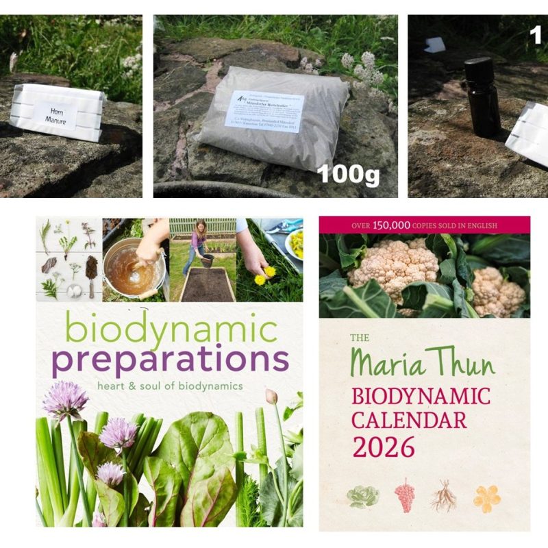 The Maria Thun Biodynamic Calendar 2026 - Biodynamic Association